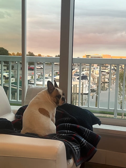 The knot Club – SpoiledDogDesigns.com