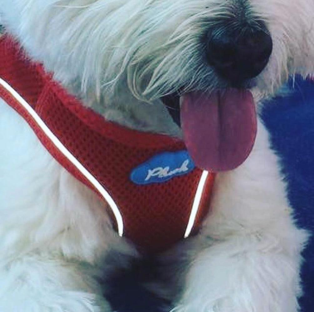 Step In Dog Harness Pattern